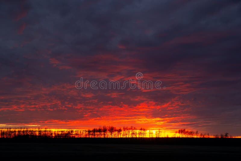 Dramatic Purple and Orange Sunset with Trees on Horizon in Prairies ...