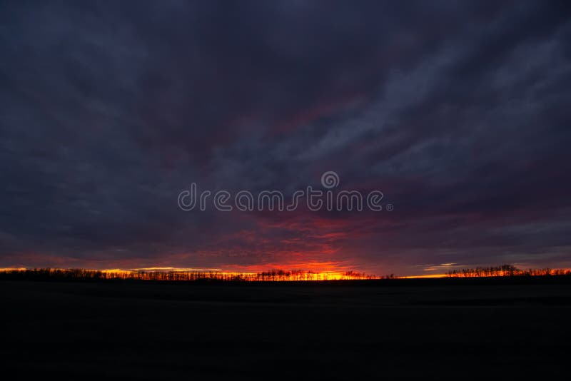 Dramatic Purple and Orange Sunset with Trees on Horizon in Prairies ...