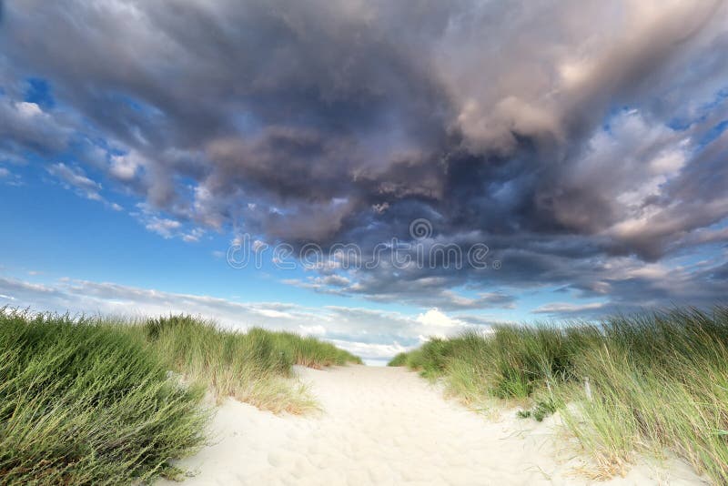 Dramatic Rain Clouds Over Path Up Sand Dune Stock Photo - Image of ...
