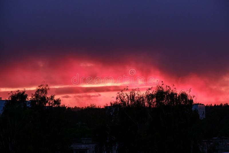 Dramatic Red Clouds Mist Over Trees on Sunset Stock Photo - Image of ...