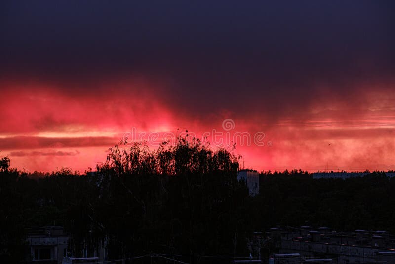 Dramatic Red Clouds Mist Over Trees on Sunset Stock Photo - Image of ...