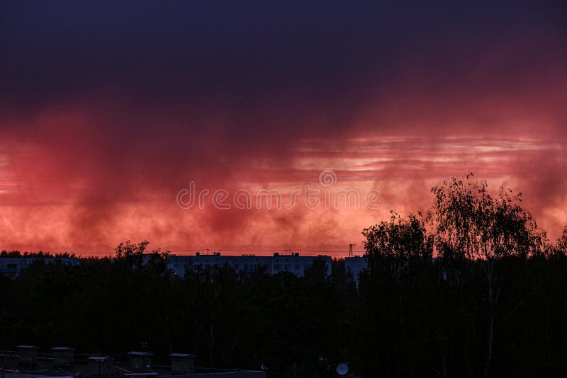 Dramatic Red Clouds Mist Over Trees on Sunset Stock Image - Image of ...