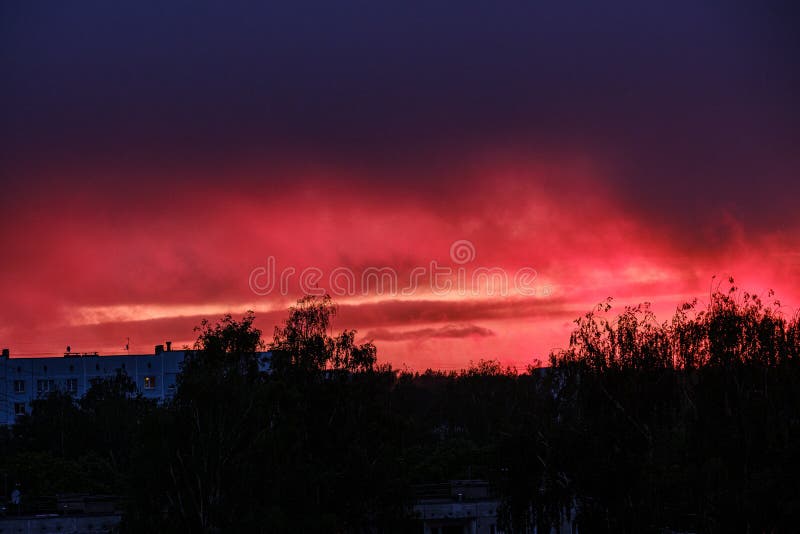 Dramatic Red Clouds Mist Over Trees on Sunset Stock Image - Image of ...
