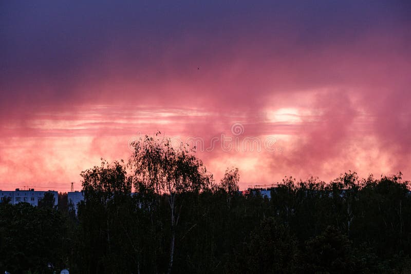 Dramatic Red Clouds Mist Over Trees on Sunset Stock Photo - Image of ...