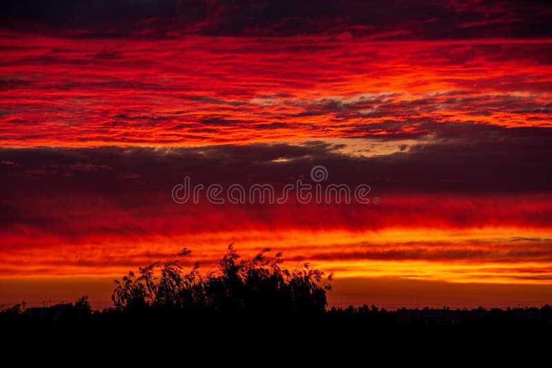 Dramatic Red Sunset Colors in the Sky Above Trees and Fields Stock ...
