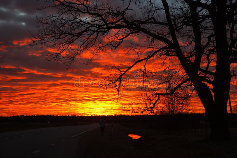 Dramatic red sunset stock photo. Image of horizon, landscape - 114808610