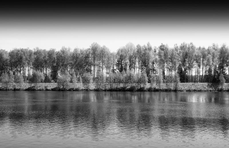 Dramatic River Forest Horizon Backdrop Stock Photo - Image of outdoor ...