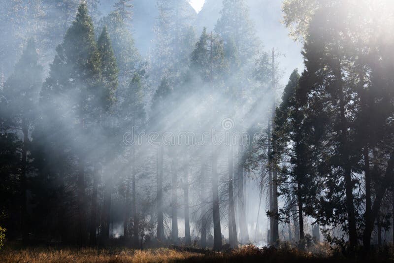 Dramatic Scene of a Glowing Sun Shining through a Rising Smoke in a ...