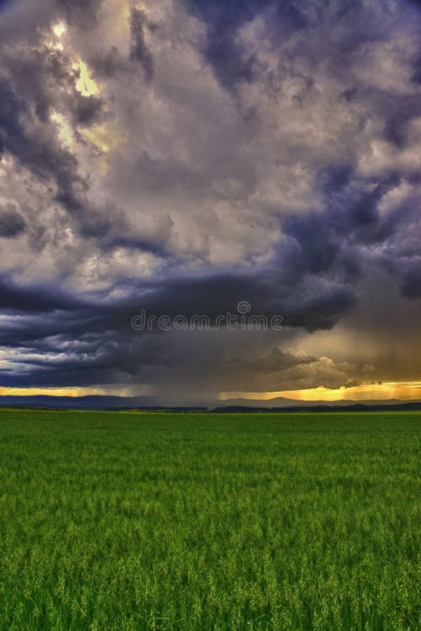 Dramatic Scene - Meadow with Clouds and Rain Stock Photo - Image of ...
