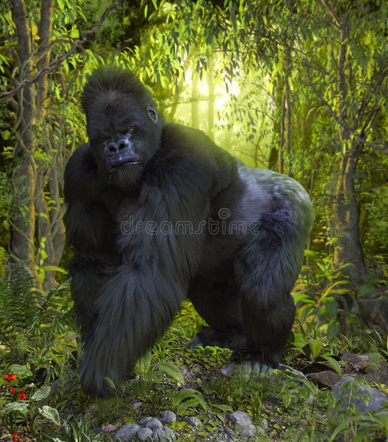 Silverback Gorilla Stock Illustrations – 1,411 Silverback Gorilla Stock ...