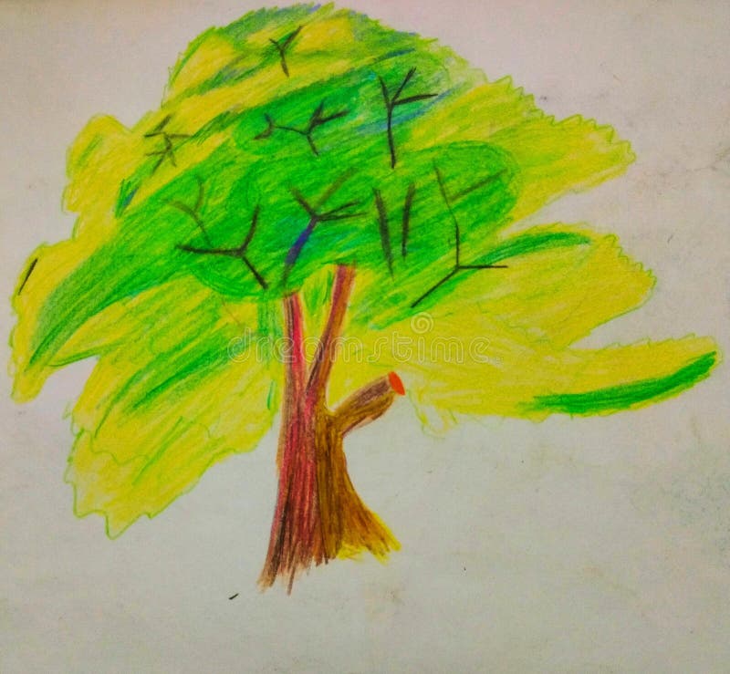 A colorful tree sketch stock image. Image of tree, brown - 164104795