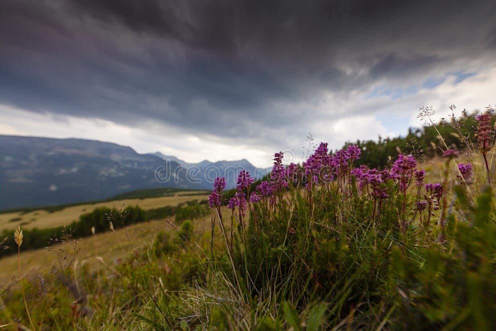Dramatic Scenery in the Alps, with Stormy Cloudscape Stock Photo ...