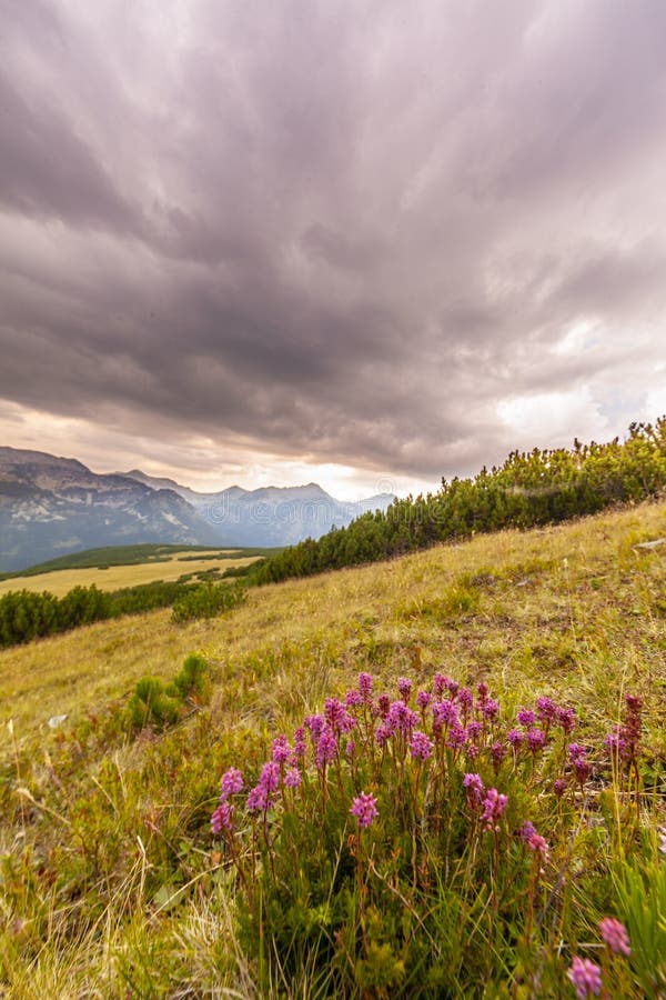 Dramatic Scenery in the Alps, with Stormy Cloudscape Stock Image ...