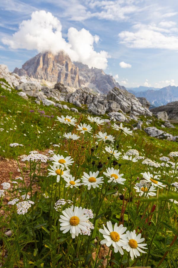 Dramatic Scenery in High Mountains in the Alps, in Summer Stock Image ...