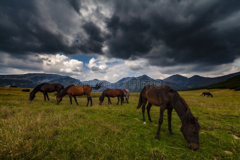 Dramatic Scenery in the Alps, with Stormy Cloudscape Stock Photo ...