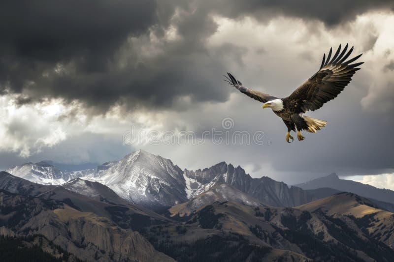 Dramatic Shot of an Eagle Ascending with Storm Clouds Over Mountains ...