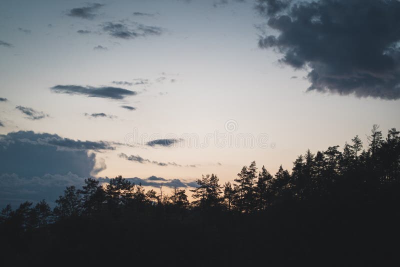 Dramatic Shot of a Field with Trees at Sunset Stock Photo - Image of ...