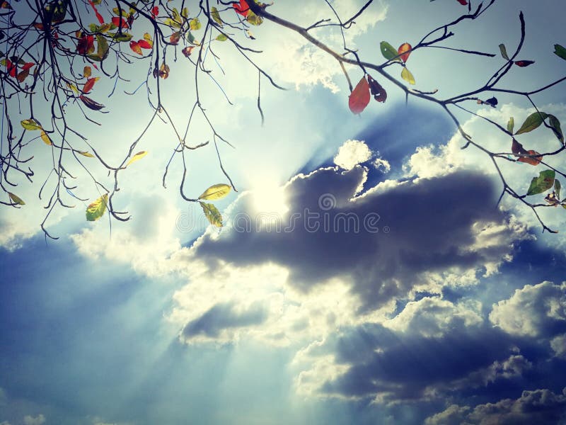 Sunray with dramatic sky stock image. Image of foreground - 195690825