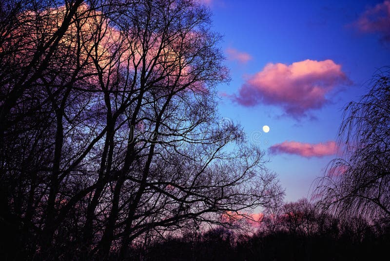 Dramatic Sky with Full Moon Stock Photo - Image of tree, black: 50997660