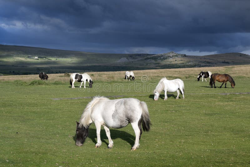 Dramatic Sky Hovering Over Dartmoor Stock Image - Image of south ...
