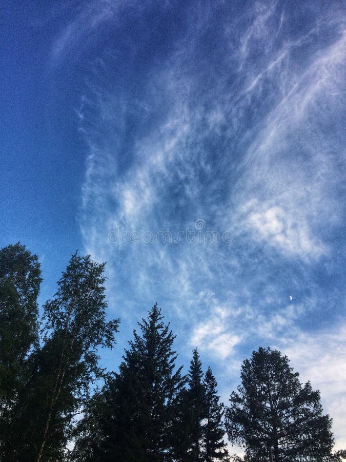 Dramatic sky landscape stock photo. Image of landscape - 119486648