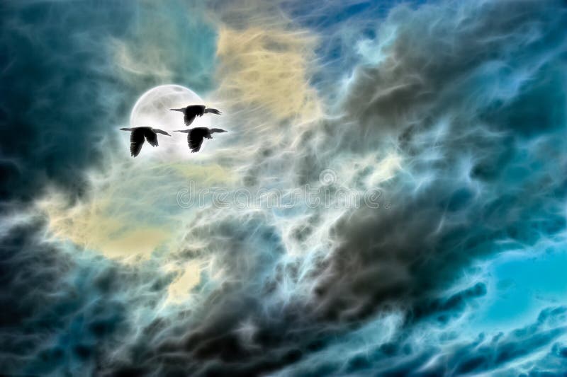 Dramatic Sky Moon Birds stock photo. Image of dramatic - 186810426