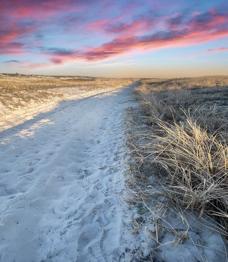 Cape Cod Beach Dune and Snow Fence Stock Photo - Image of dune, chatham ...