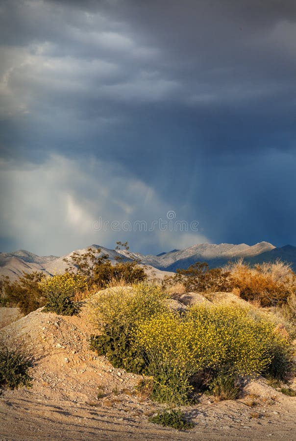 Dramatic Sky Over the Desert in Summer Time. Stock Image - Image of ...