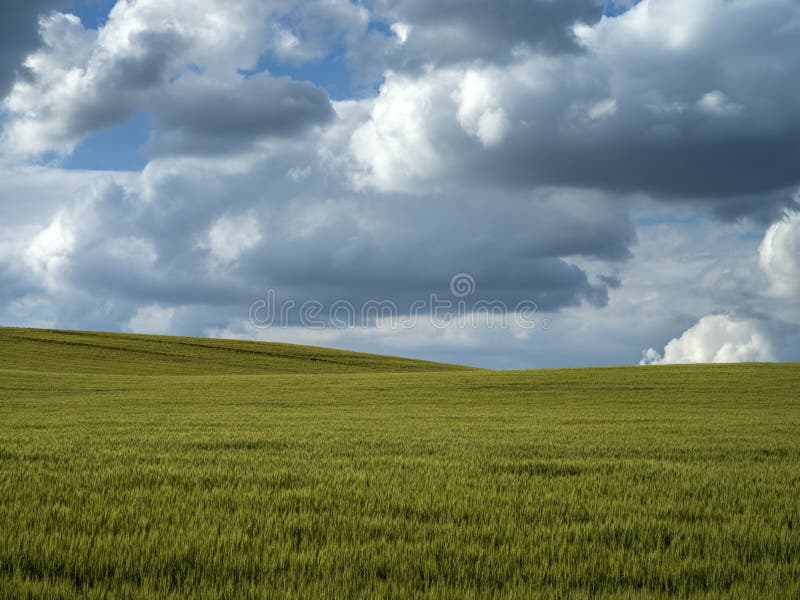 Dramatic Clouds Over a Green Field Stock Image - Image of landscape ...