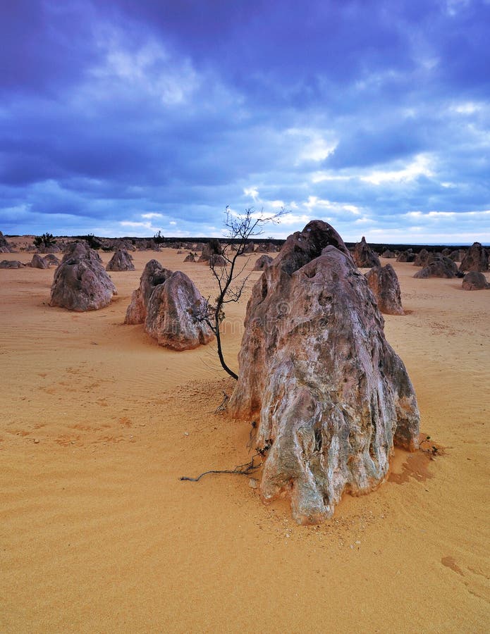 Pinnacles Desert stock image. Image of beautiful, captivating - 15107223