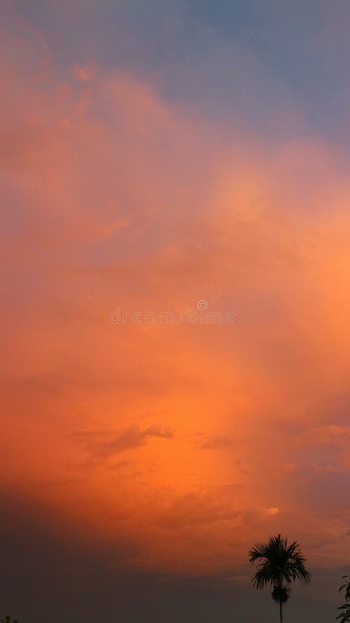Dramatic Sky with the Red Fluffy Cotton Clouds in the Twilight Sky with ...