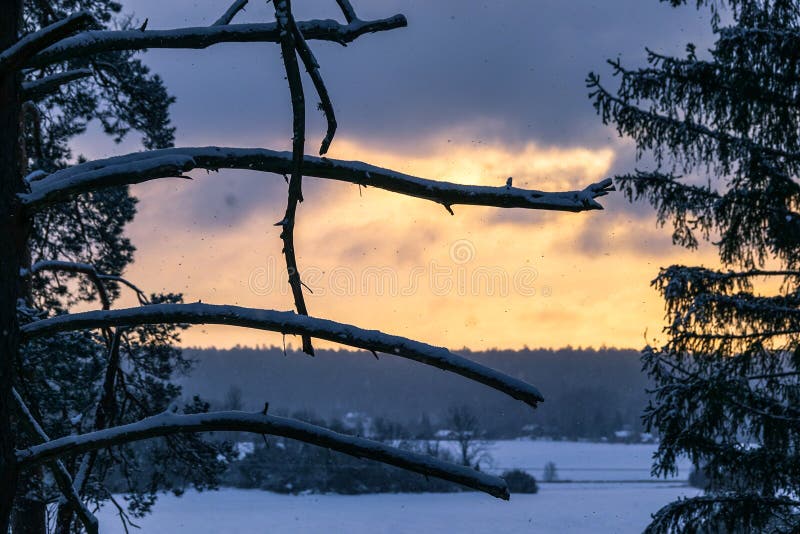 Dramatic Sky with Snow Falling and Silhouette of Forest Stock Image ...