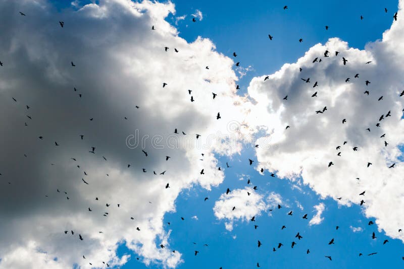 Something Bad Will Happen Soon Stock Photos - Free & Royalty-Free Stock Photos from Dreamstime