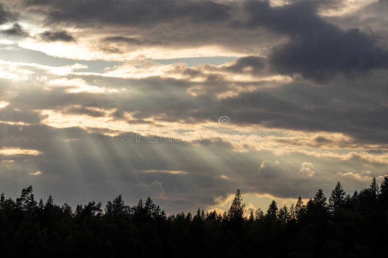Dramatic Sky with Sunlight Rays Over Forest Stock Photo - Image of dark, rural: 335503290