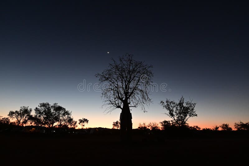 Sunset Over a Boab Tree Silhouette Kimberley Western Australia Stock ...