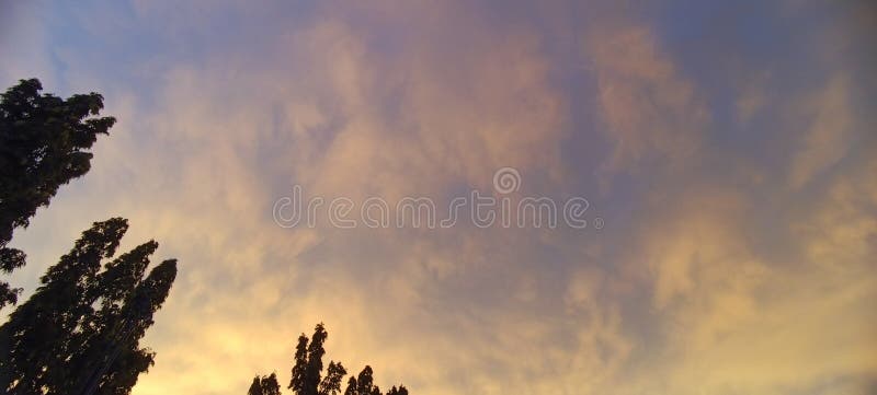 Dramatic Sky with Tree Silhouette, Twilight Time Stock Photo - Image of ...