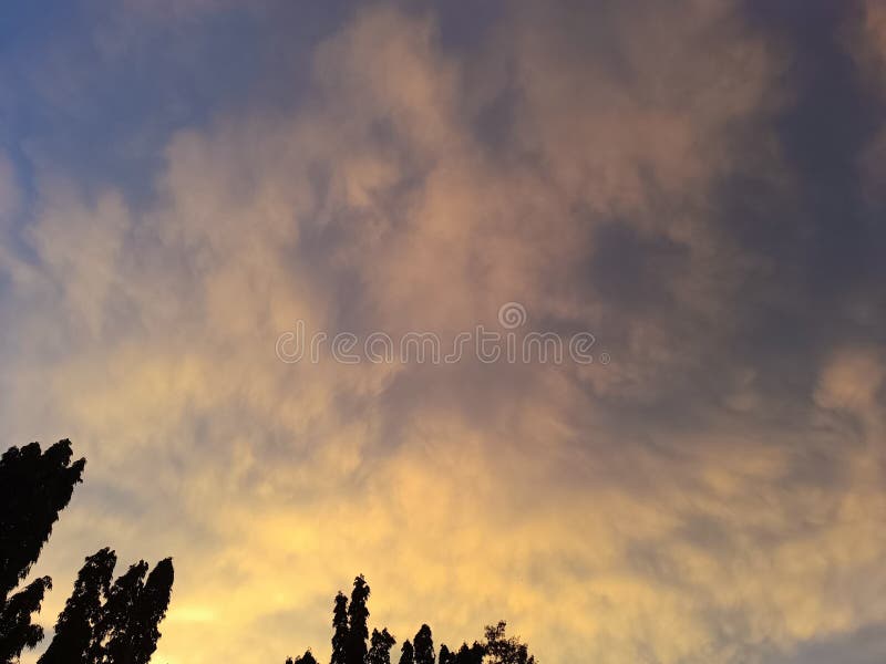 Dramatic Sky with Tree Silhouette, Twilight Time Stock Photo - Image of ...
