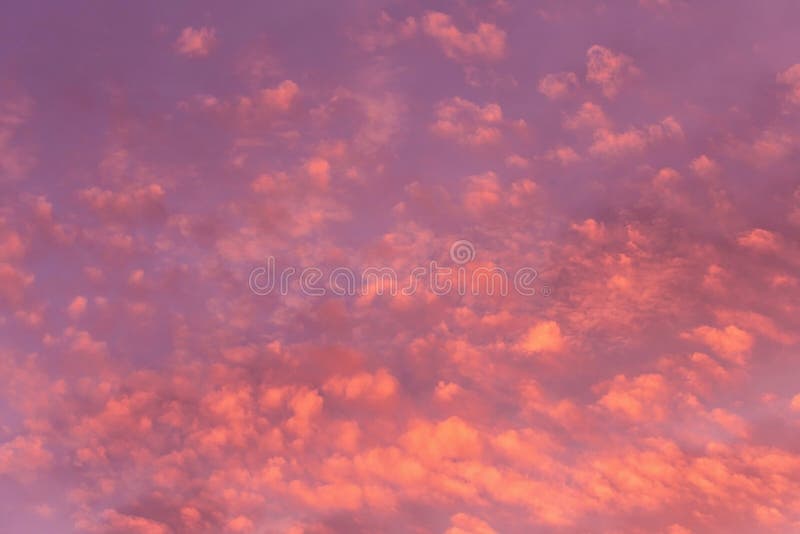 Dramatic Soft Sunrise, Sunset with Orange Sun and Sunlight, Pink Violet ...