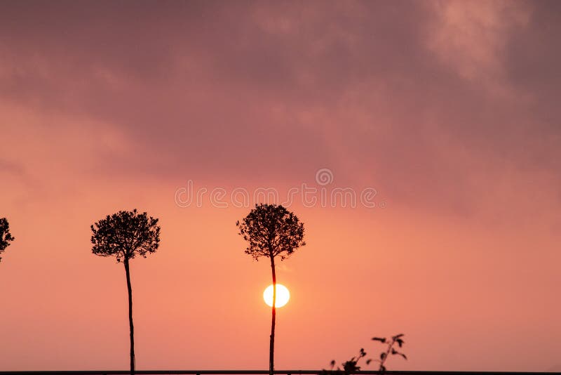 Dramatic Street Lights of the City at Sunset Stock Image - Image of ...