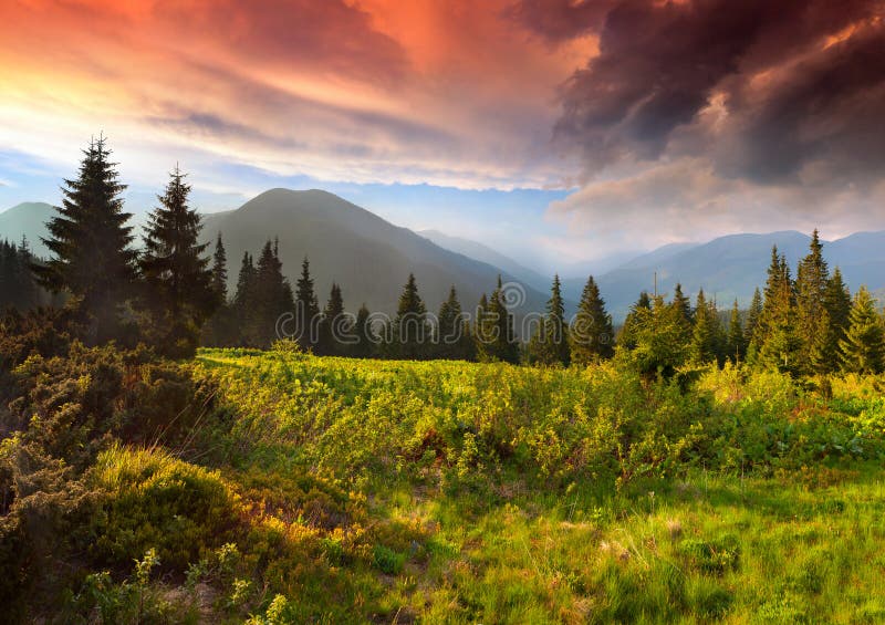 Awesome Bright Sunset in the Mountains, Landscape in Bright Col Stock ...