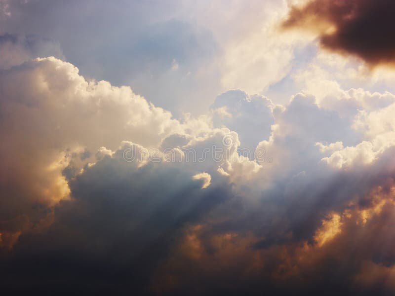 Dramatic Sunlight in Morning Woods Stock Image - Image of sunrise, mist ...