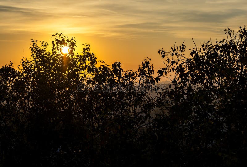 Dramatic Sunrise Orange Sky with Tree Leaves at Morning at Outdoor ...