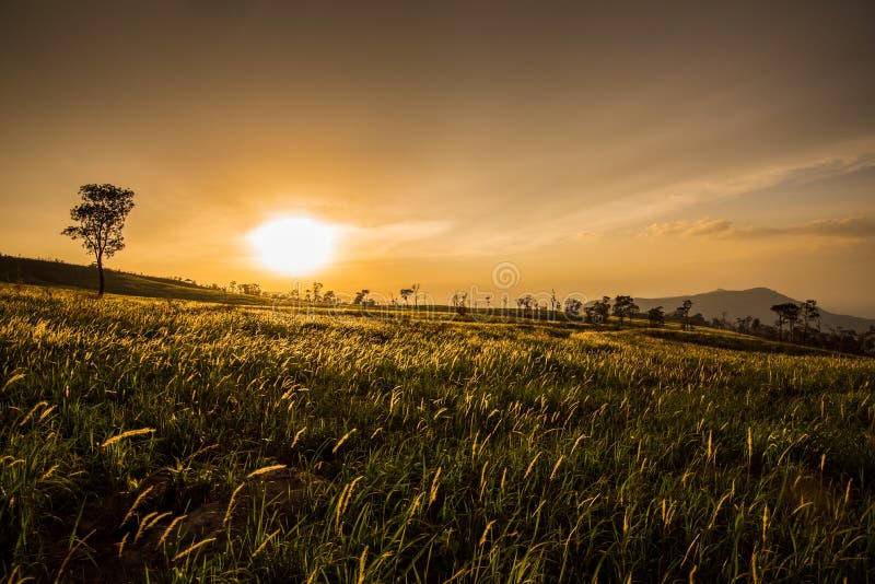 Dramatic Sunrise over stock photo. Image of country, mist - 73265976