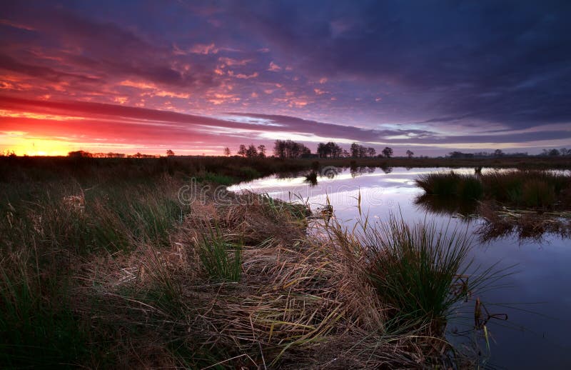 Dramatic Sunrise Over Swamp Stock Image - Image of nature, calm: 35648551