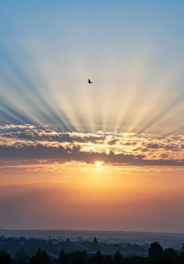 Dramatic Sunrise with Radiant Sun Rays and a Lone Bird Flying Over ...