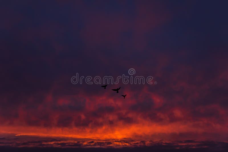 Dramatic sunrise sky stock photo. Image of sunrise, cloudscape - 153561574