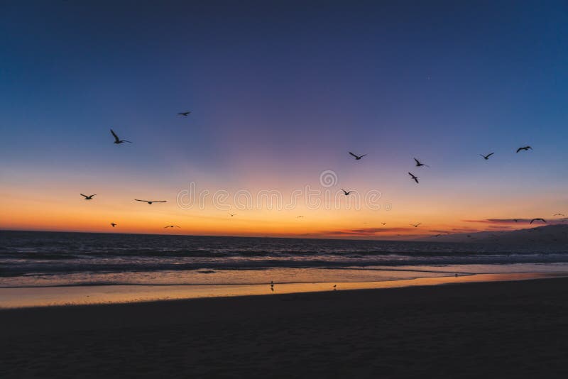 Dramatic Sunset on the Beach and Flying Birds Stock Photo - Image of ...