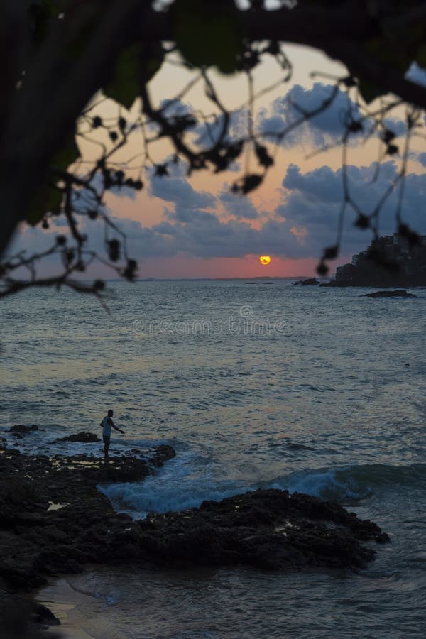 Dramatic Sunset on the Beach between Tree Leaves with Vibrant Colors ...
