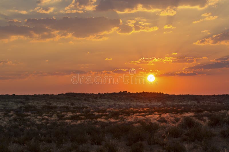 Dramatic Sunset Over the Grassy Plains of the Kalahari Stock Photo ...