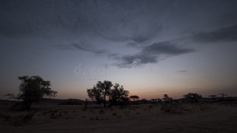 Dramatic Sunset Over the African Bush in Namibia Stock Footage - Video ...